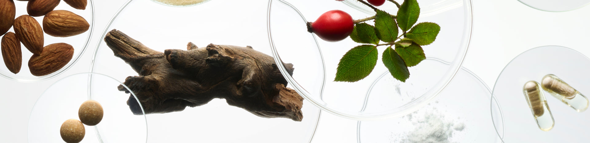 Our Ingredients | Bonafide's Commitment To Safety, Testing & Quality ...