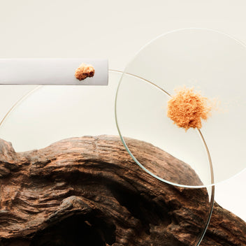 Ristela | Naturally Powerful For Increased Orgasm & Arousal | Bonafide