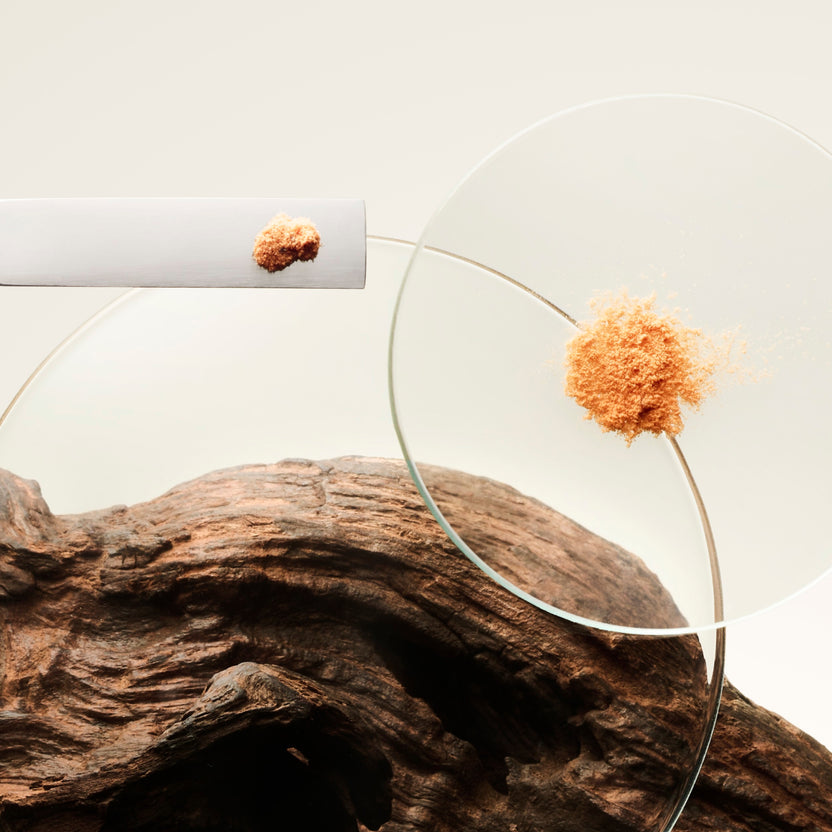 Ristela | Naturally Powerful For Increased Orgasm & Arousal | Bonafide