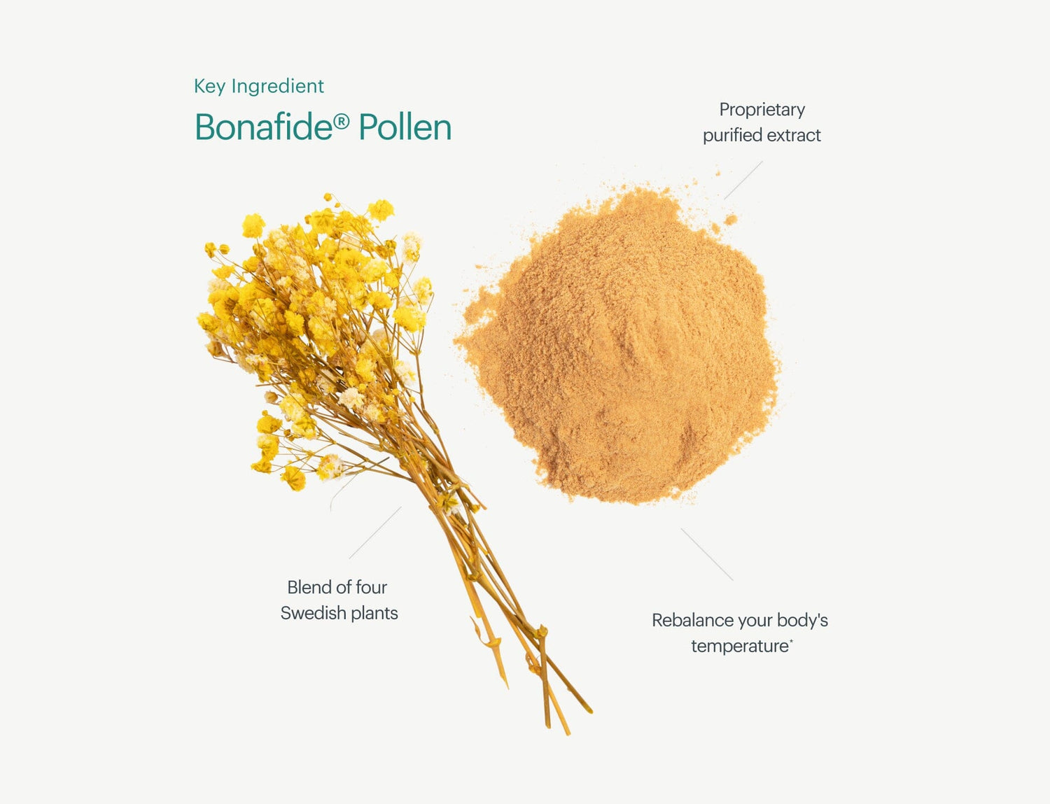 Relizen | Hot Flashes Supplement | Hormone-Free | Bonafide