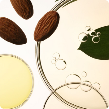 Revaree Plus | Hyaluronic Acid Vaginal Dryness Suppository | Bonafide