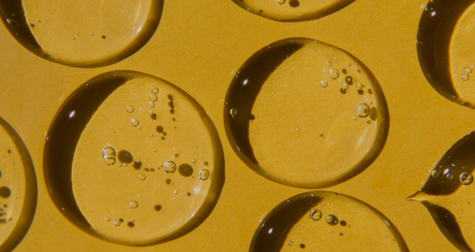 Our Ingredients | Bonafide's Commitment To Safety, Testing & Quality ...
